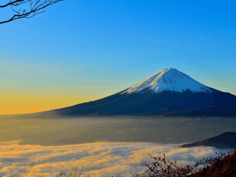 From Tokyo: Mount Fuji Day Trip With English Speaking Driver - Frequently Asked Questions