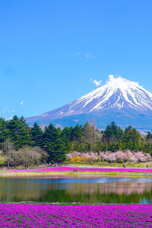 From Tokyo: Mount Fuji Day Trip With English Speaking Driver - Key Points