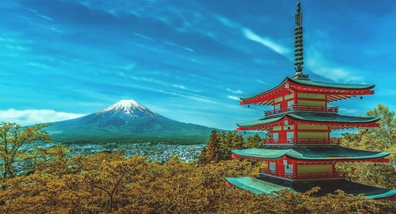From Tokyo: Mount Fuji Day Trip With English Speaking Driver - Tour Pricing and Inclusions