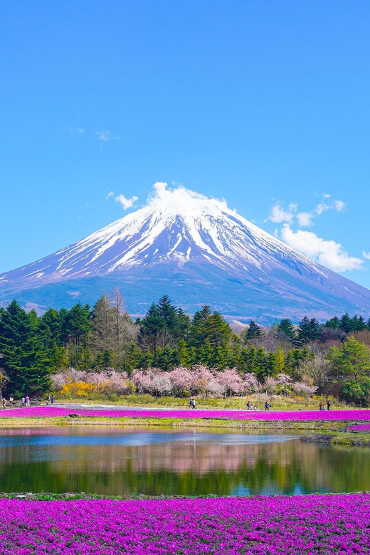 From Tokyo: Mount Fuji Day Trip With English Speaking Driver - Pickup Locations and Transportation