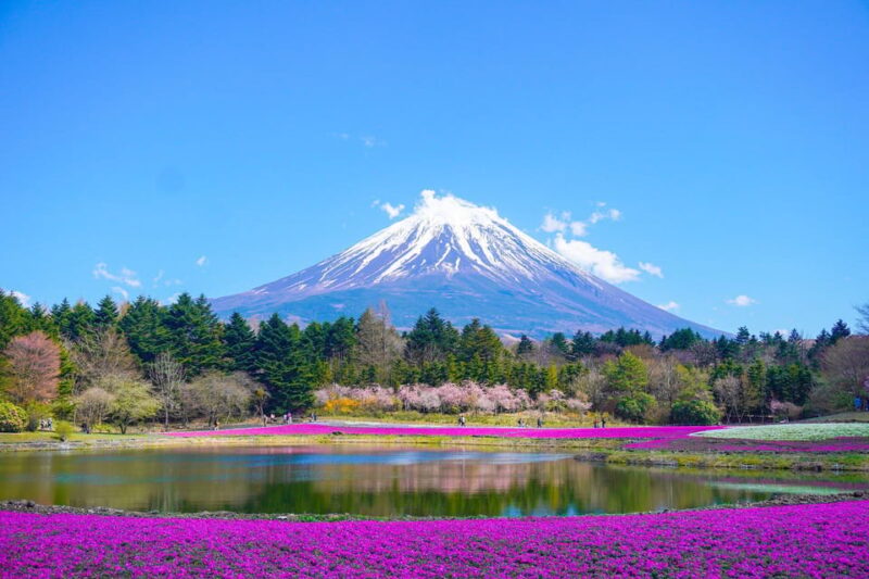 From Tokyo: Mount Fuji Day Trip With English Speaking Driver - Frequently Asked Questions