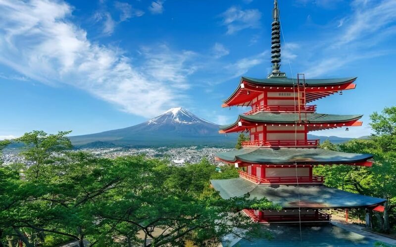 From Tokyo: Mount Fuji Day Trip With English Speaking Driver - Optional Activities and Customizable Itinerary