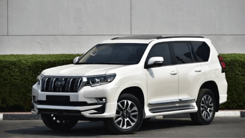 From Tokyo: Mount Fuji Full-Day Customised Private Tour - Customization and Experience