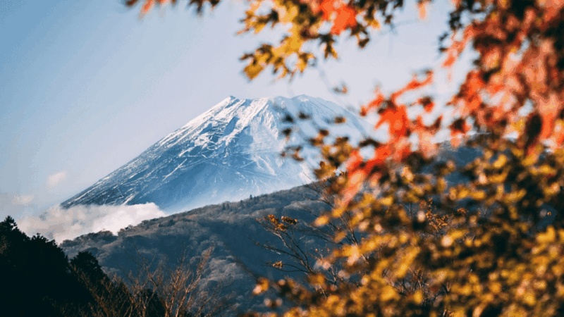 From Tokyo: Mount Fuji Full-Day Customised Private Tour - Seasonal Highlights