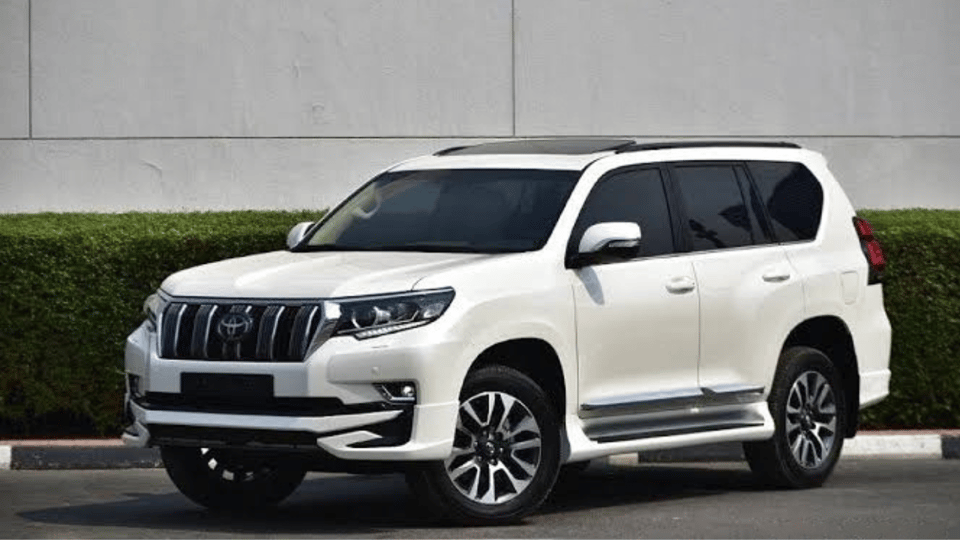 From Tokyo: Mount Fuji Full-Day Customised Private Tour - Customer Feedback and Important Information