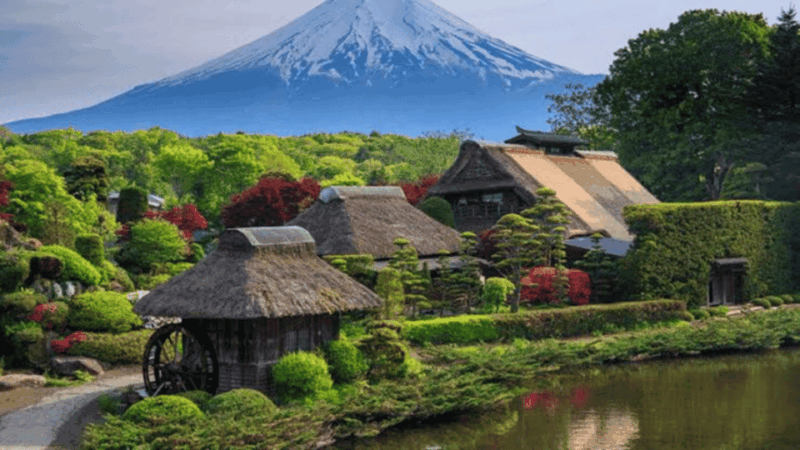 From Tokyo: Mount Fuji Full-Day Customised Private Tour - Explore the Iconic Mount Fuji