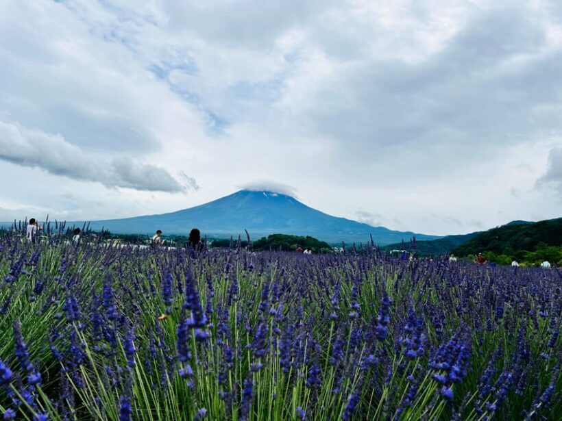 From Tokyo: Mount Fuji Full Day Customizable Private Tour - Key Points
