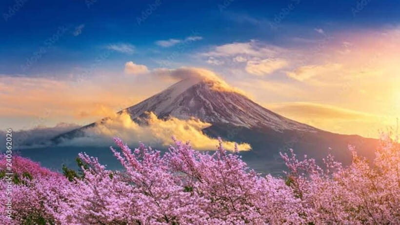 From Tokyo: Mount Fuji Full Day Customizable Private Tour - What To Expect From the Day