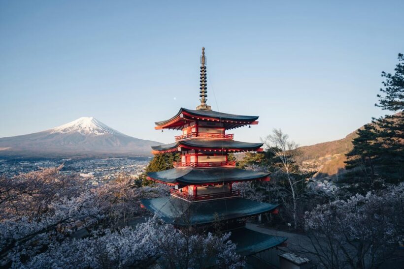 From Tokyo: Mount Fuji Full Day Customizable Private Tour - Final Thoughts: Who Should Consider This Tour?