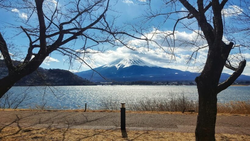 From Tokyo: Mount Fuji Full Day Customizable Private Tour - FAQs