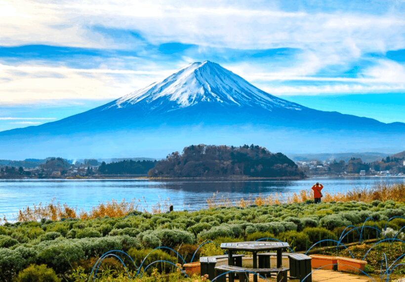 From Tokyo: Mount Fuji Full Day Customizable Private Tour - Key Points