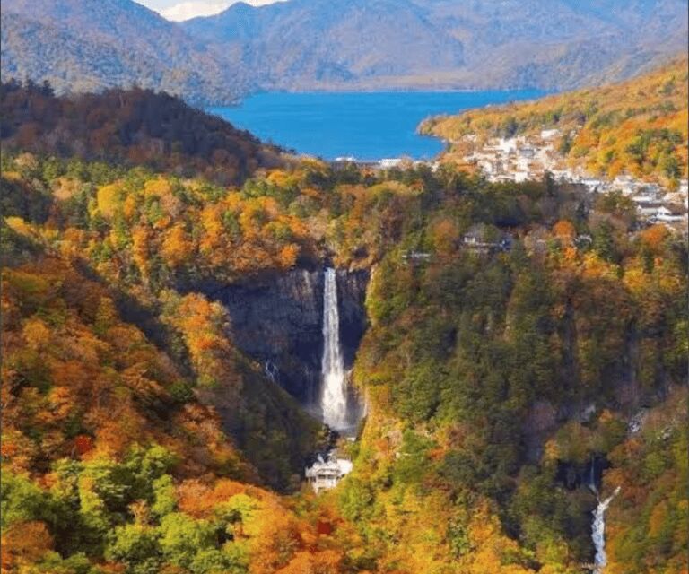From Tokyo: Mount Fuji Full Day Customizable Private Tour - A Practical Introduction to the Tour