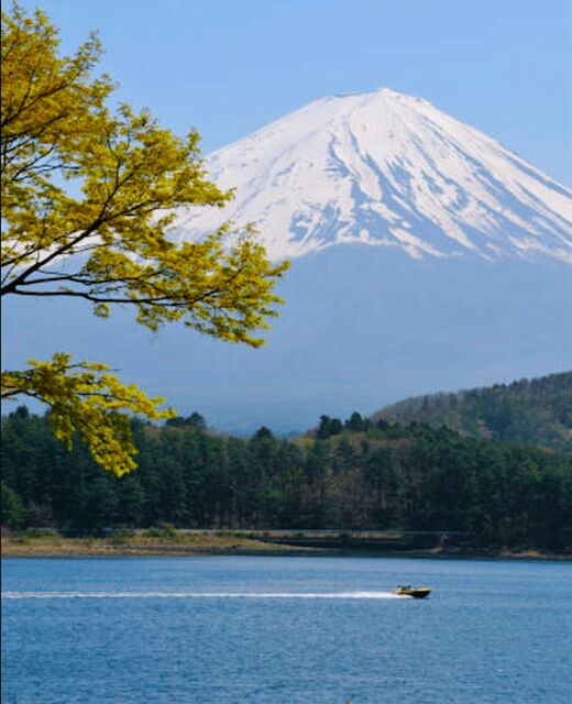 From Tokyo: Mount Fuji Full Day Customizable Private Tour - Who This Tour Is Best For