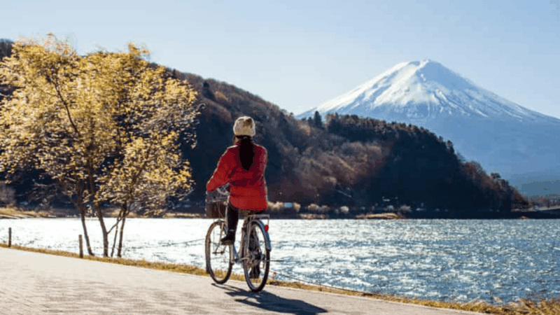 From Tokyo: Mount Fuji Full-Day Customized Private Tour - Key Points