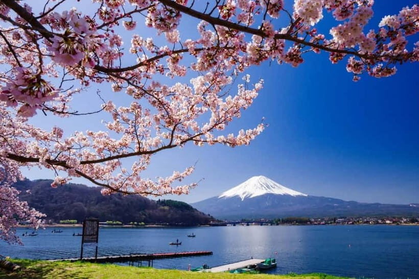 From Tokyo: Mount Fuji Full Day Private Customizable Tour - The Sum Up