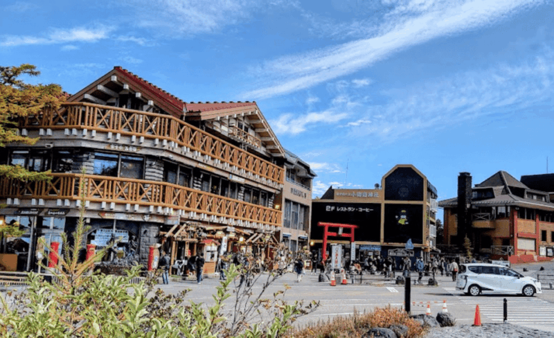 From Tokyo: Mount Fuji Full-Day Private Customized Tour - Key Points