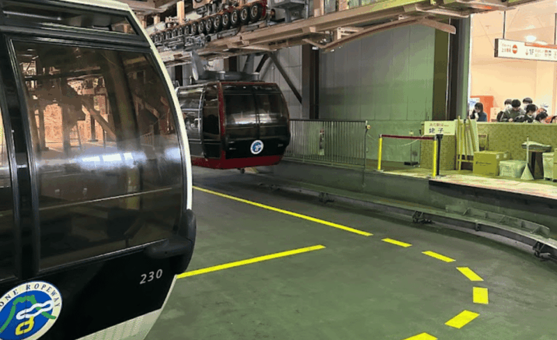 From Tokyo: Mount Fuji Full-Day Private Customized Tour - Experience and Itinerary