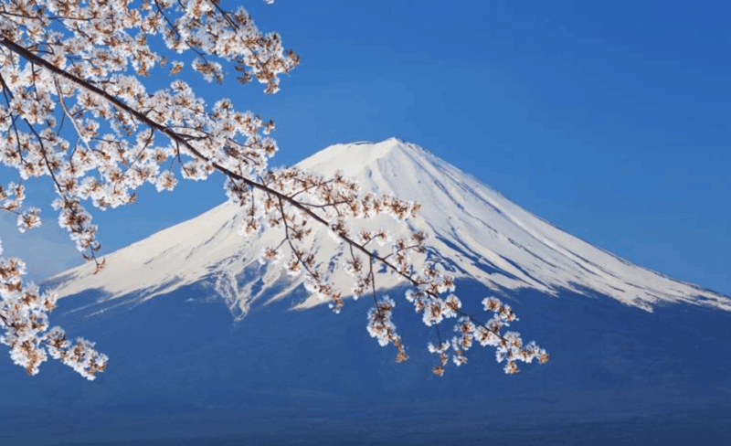 From Tokyo: Mount Fuji Full-Day Private Customized Tour - Notable Stops