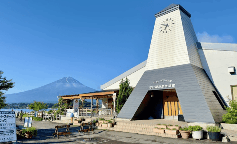 From Tokyo: Mount Fuji Full-Day Private Customized Tour - Guided Tour and Accessibility