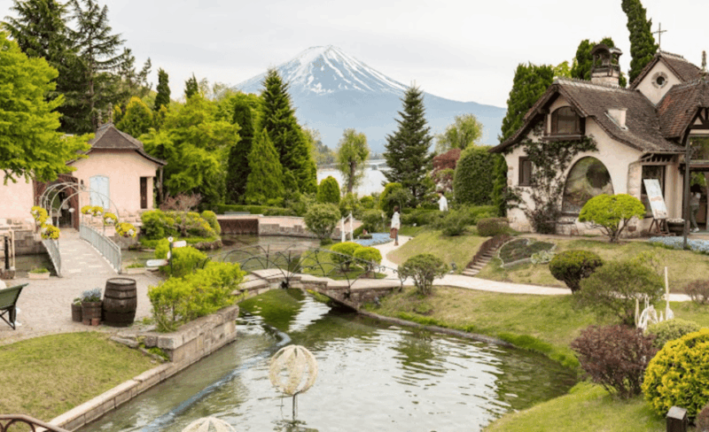 From Tokyo: Mount Fuji Full-Day Private Customized Tour - Customer Feedback and Ratings