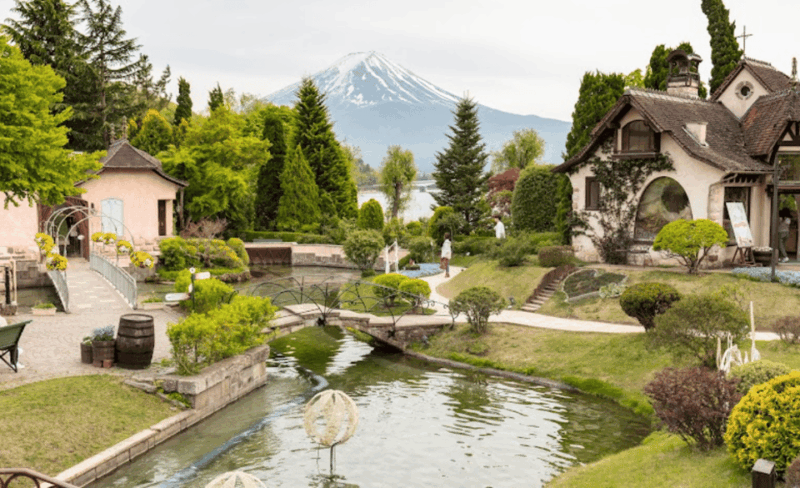 From Tokyo: Mount Fuji Full-Day Private Customized Tour - Customization Options