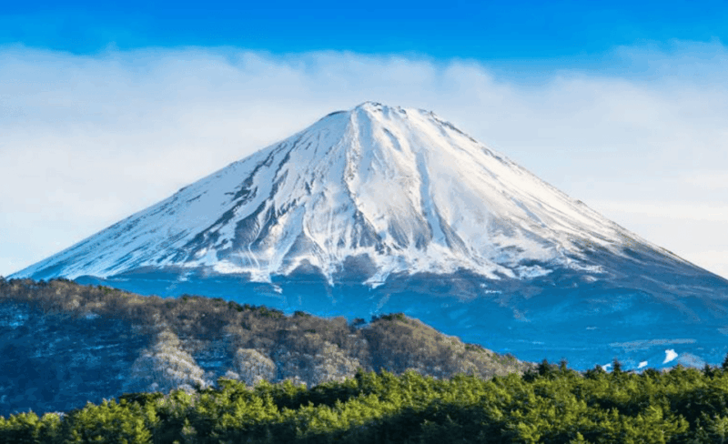 From Tokyo: Mount Fuji Full-Day Private Customized Tour - Tour Highlights and Benefits
