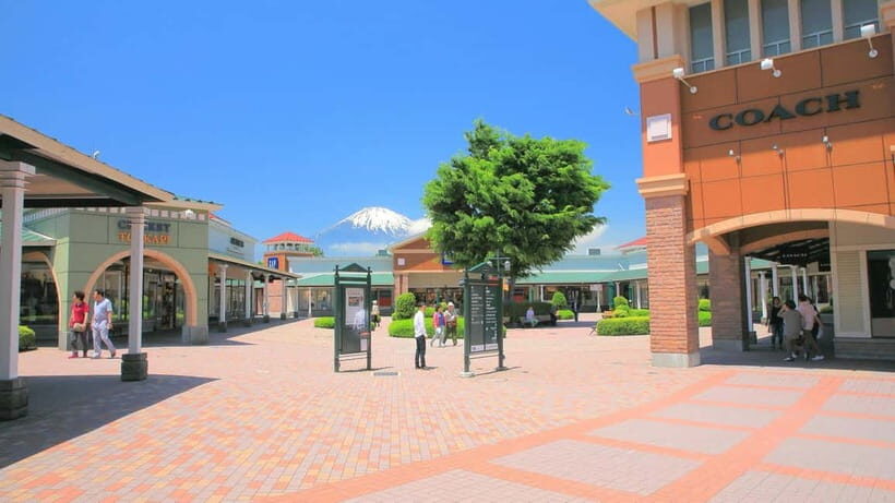 From Tokyo: Mount Fuji Full-Day Private Tour (Customizable) - FAQs