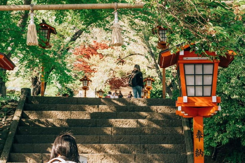 From Tokyo: Mount Fuji Full-Day Private Tour (Customizable) - Final Words