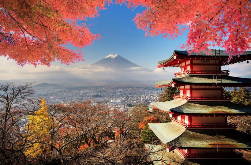 From Tokyo: Mount Fuji Full Day Private Tour English Guide - An Introduction to the Mount Fuji Private Tour