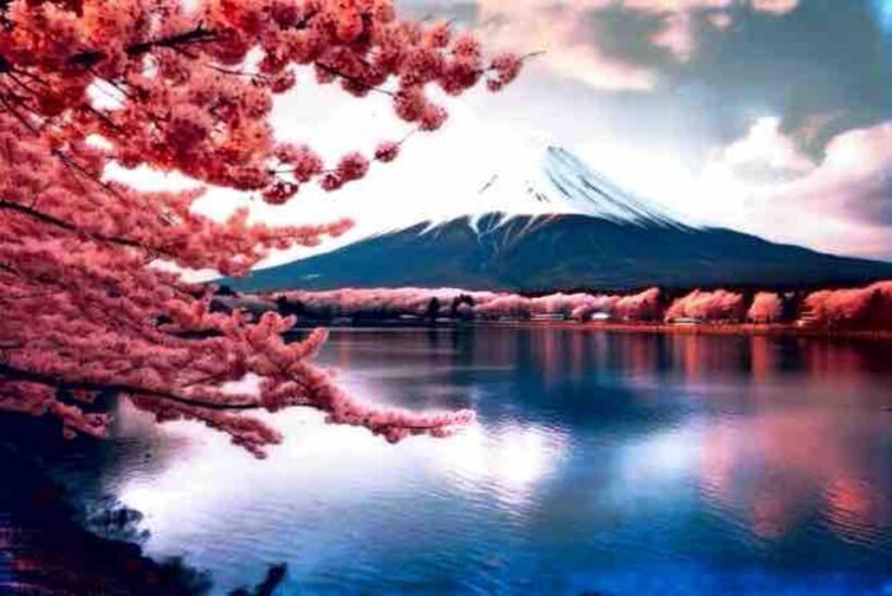 From Tokyo: Mount Fuji Full Day Private Tour English Guide - The Practicalities: Cost, Duration, and What’s Included