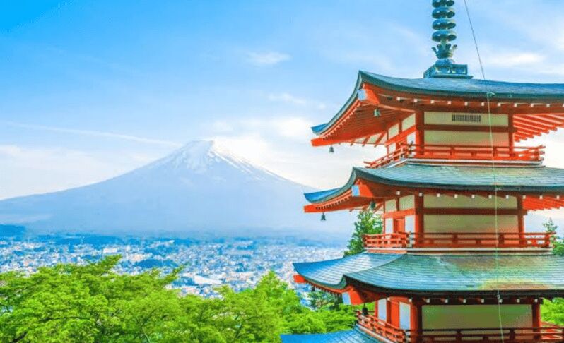 From Tokyo: Mount Fuji Full Day Private Tour English Guide - Who Should Consider This Tour?