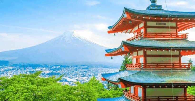 From Tokyo: Mount Fuji Full Day Private Tour English Guide - FAQs