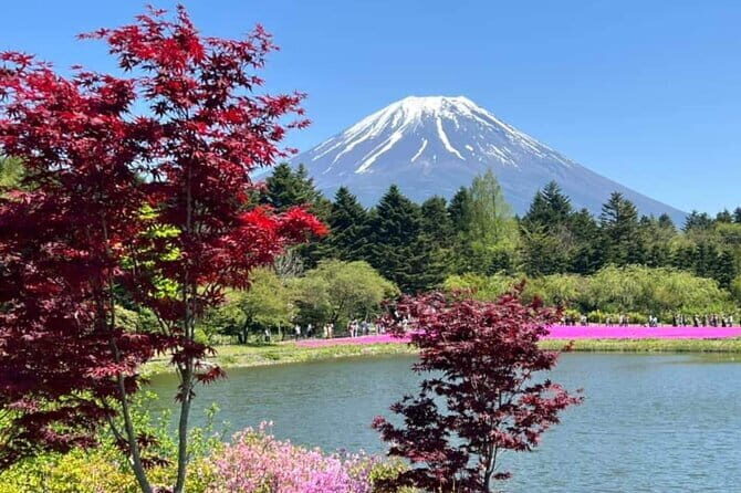 From Tokyo: Mount Fuji Full Day Private Tour With Engish Driver - Transportation and Practicalities