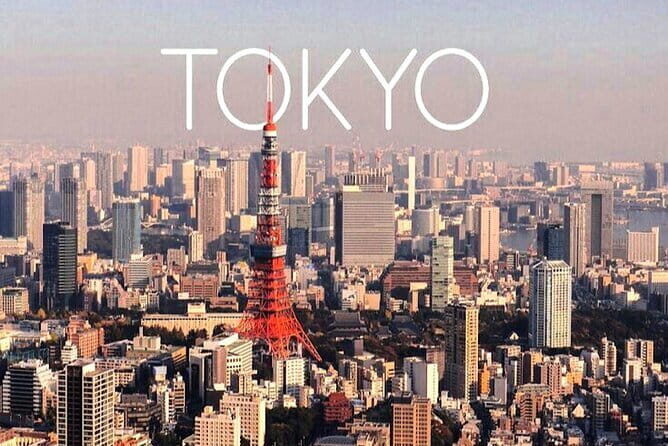 From Tokyo: Mount Fuji Full Day Private Tour With Engish Driver - Final Thoughts: Who Should Book This Tour?