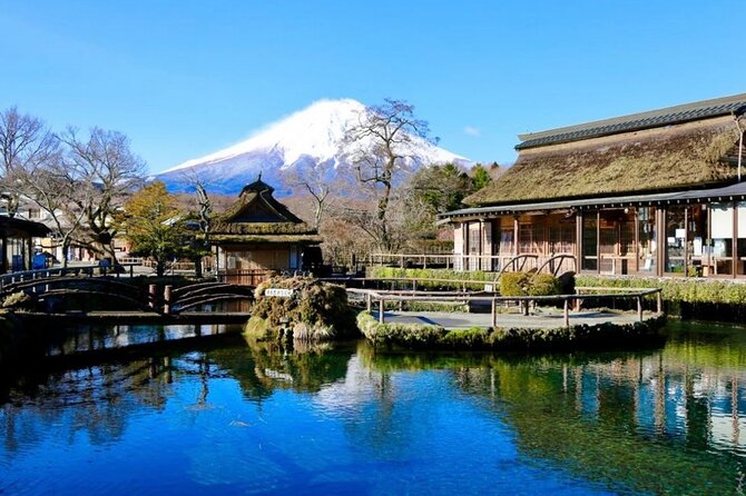 From Tokyo: Mount Fuji Full Day Private Tour With English Guide - Key Points