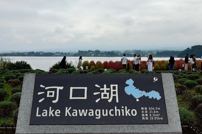 From Tokyo: Mount Fuji Full Day Private Tour With English Guide - Accessibility and Health Considerations