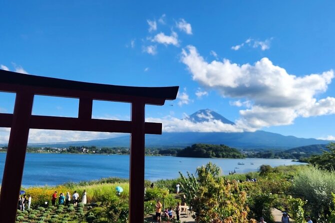 From Tokyo: Mount Fuji Full Day Private Tour With English Guide - Booking and Cancellation Policy