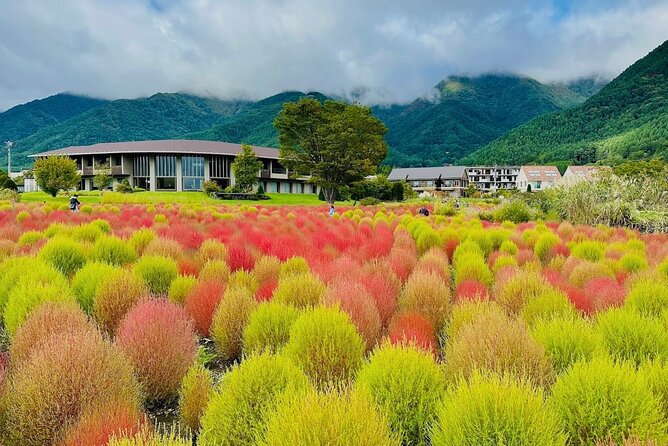 From Tokyo: Mount Fuji Full Day Private Tour With English Guide - Common Questions