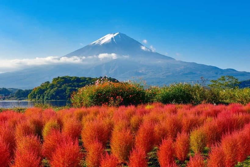 From Tokyo: Mount Fuji Full-Day Sightseeing Trip - Key Points
