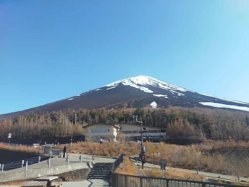 From Tokyo: Mount Fuji Full-Day Sightseeing Trip - Authentic Experiences & Highlights