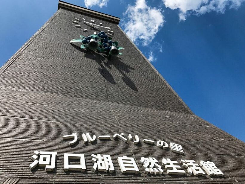 From Tokyo: Mount Fuji Full-Day Sightseeing Trip - Final Thoughts