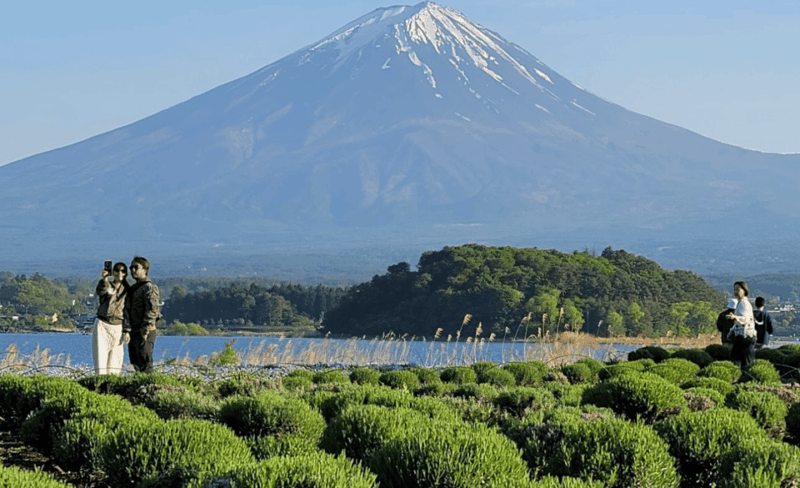 From Tokyo: Mount Fuji & Hakone Customize Private Day Tour - Itinerary Highlights