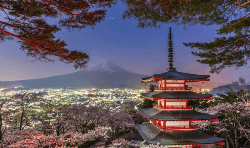 From Tokyo: Mount Fuji & Hakone Customize Private Day Tour - Transportation and Comfort