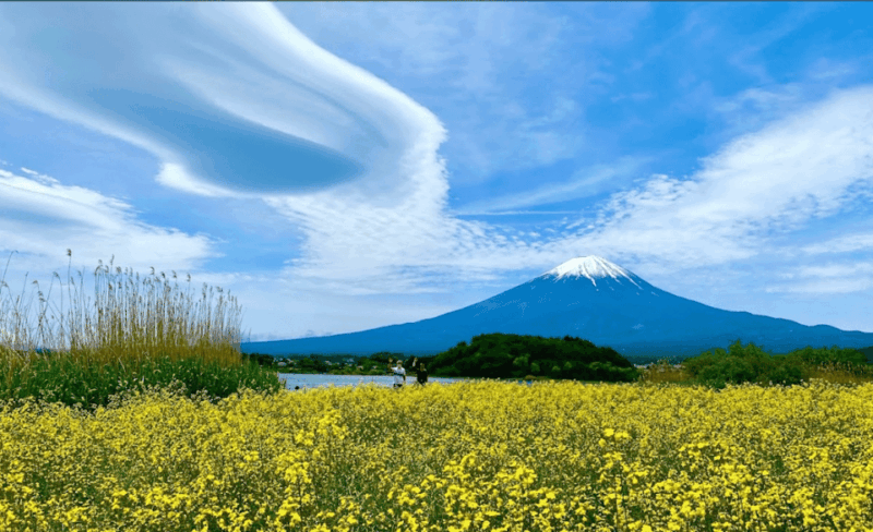 From Tokyo: Mount Fuji & Hakone Customize Private Day Tour - Frequently Asked Questions
