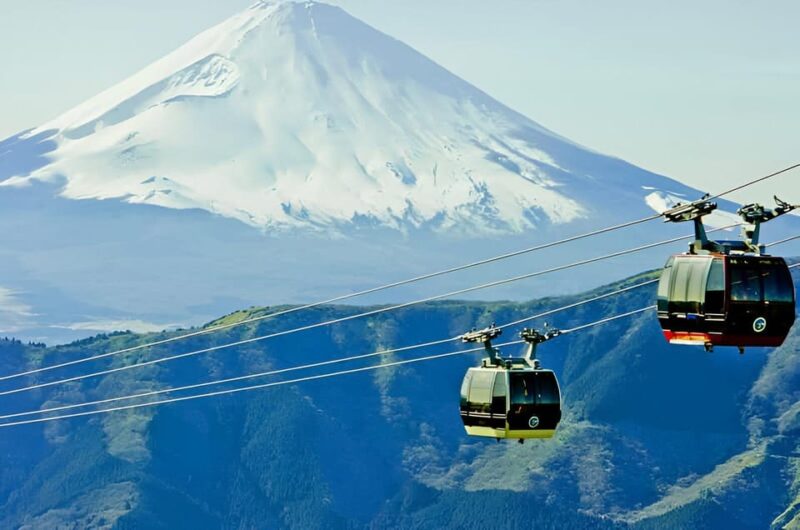 From Tokyo: Mount Fuji & Hakone Full Day Private Tour - Key Points