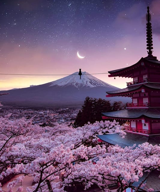 From Tokyo: Mount Fuji & Hakone Full Day Private Tour - What to Expect
