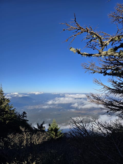 From Tokyo: Mount Fuji & Hakone Full Day Private Tour - Customer Reviews