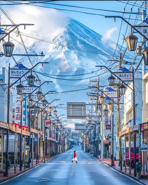 From Tokyo: Mount Fuji & Hakone Full Day Private Tour - Important Information