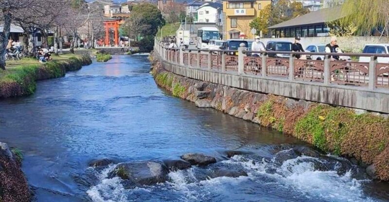 From Tokyo: Mount Fuji & Hakone Private Full Day Trip - Transportation and Pickup Arrangements