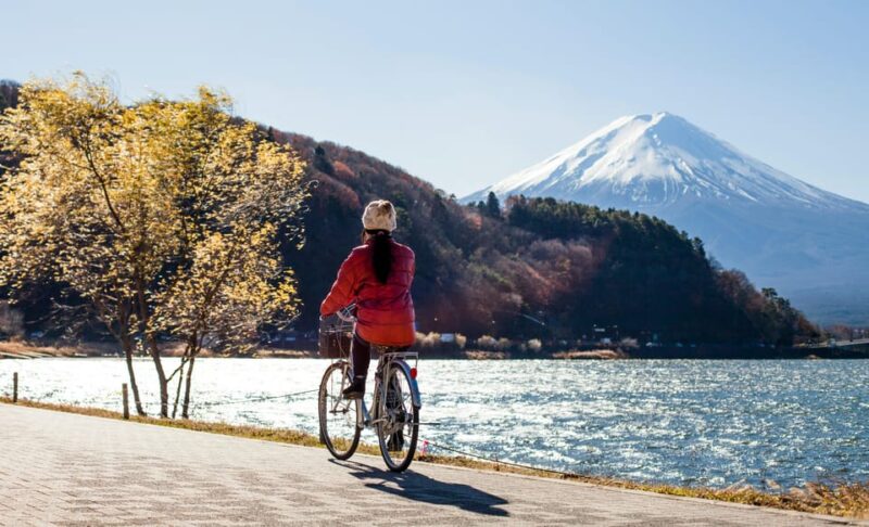 From Tokyo: Mount Fuji Instagram Spots 1-Day Private Tour - Transportation and Pickup Details